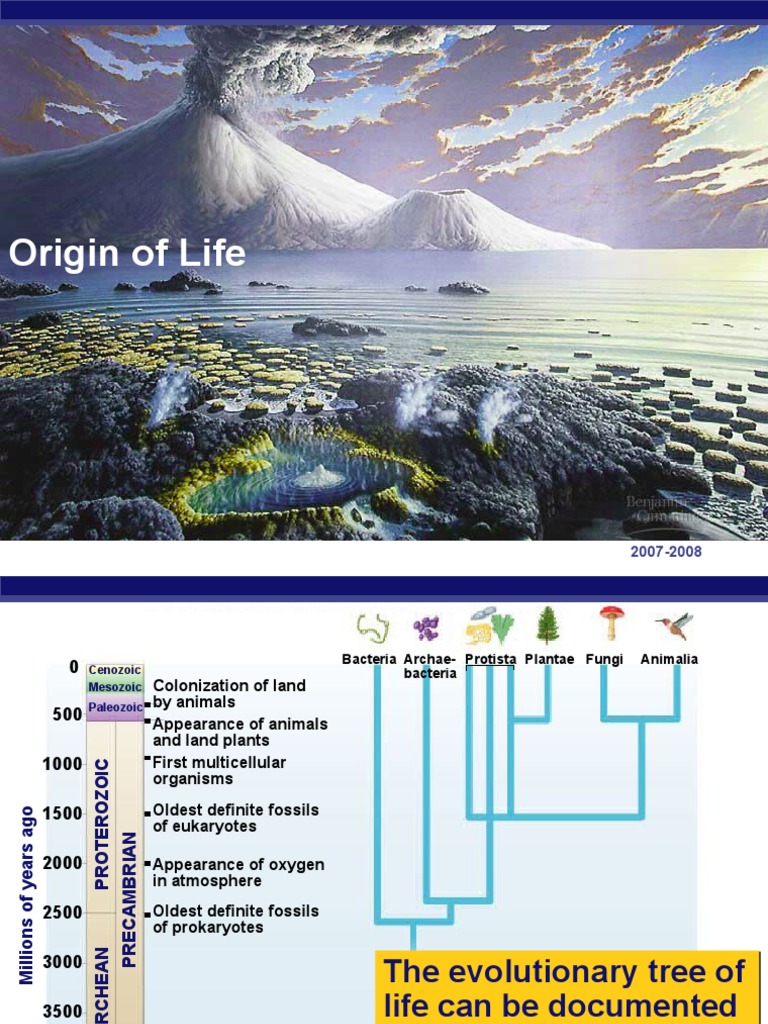 Notes Ch26 OriginOfLife | PDF | Abiogenesis | Eukaryotes