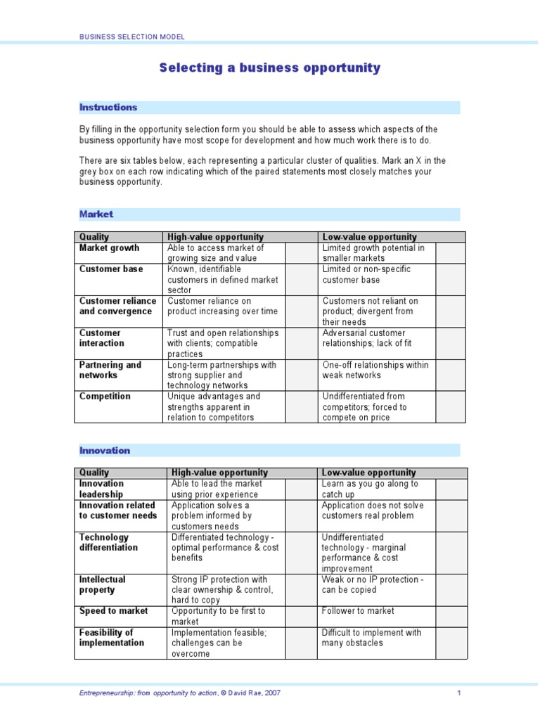 13 Business Selection Model Hexagon | PDF | Investor | Innovation