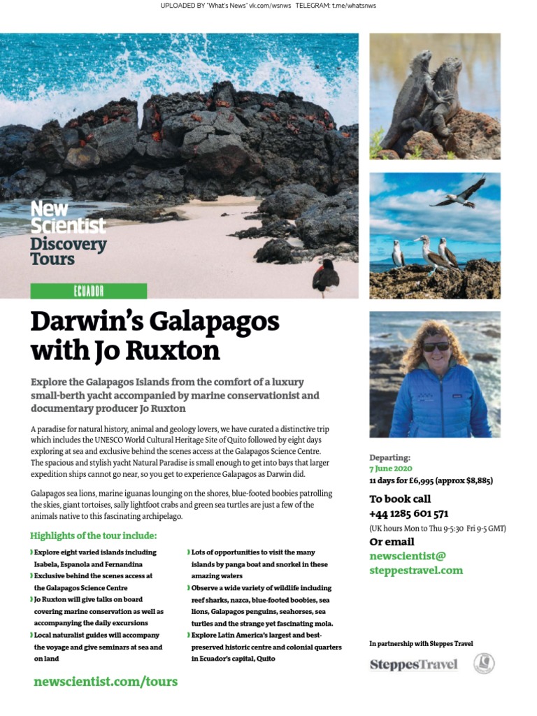Darwin's Galapagos With Jo Ruxton: Discovery Tours | PDF | Galápagos ...