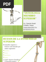 Anatomía del Húmero, Radio y Cúbito | PDF | Codo | Hombro