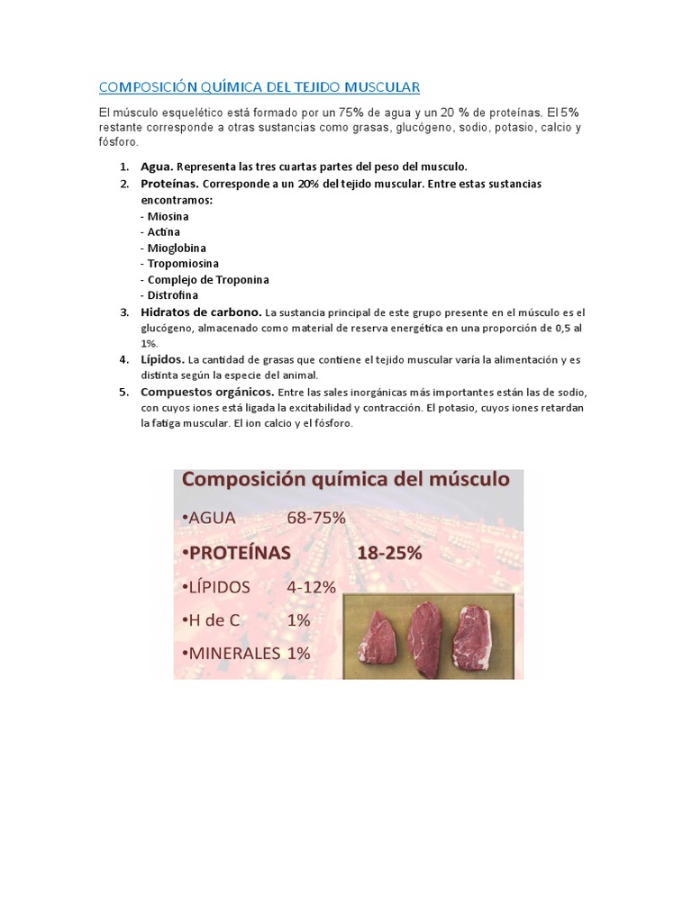 Composición Química Del Tejido Muscular | PDF