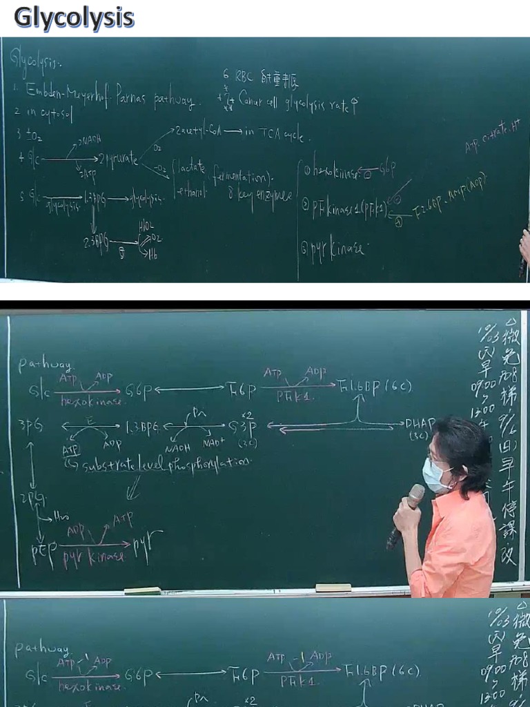 Biochemistry Notes | PDF