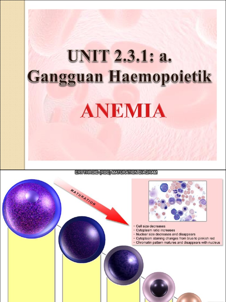 Definisi dan Klasifikasi Anemia | PDF | Sains & Matematika