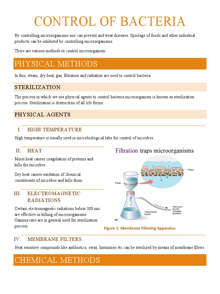 Kingdom Prokaryotae - Control of Bacteria | PDF | Sterilization ...