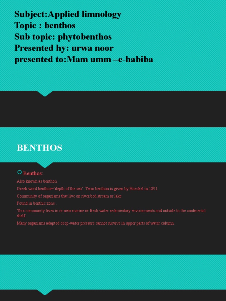 Limnology Presentation Benthos | PDF