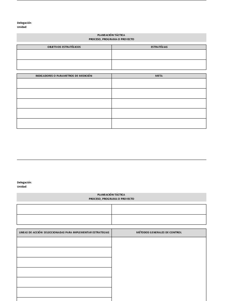 Formato Plan Táctico | PDF