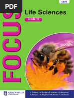 Unisa Lesson Plan | PDF