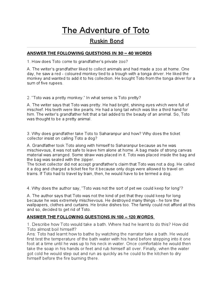 The Adventure of Toto | PDF