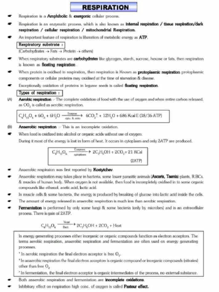 Aerobic vs Anaerobic Respiration Explained | PDF | Cellular Respiration ...