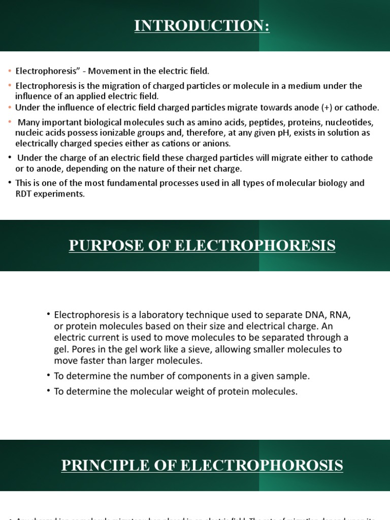 Electrophoresis | PDF | Gel Electrophoresis | Capillary Electrophoresis