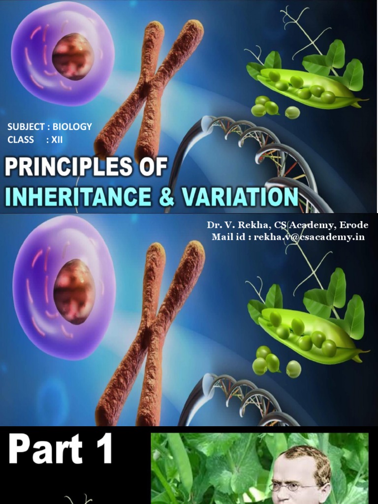 5 Principles of Inheritance and Variation BOB PPT Part 1 | PDF | Social ...