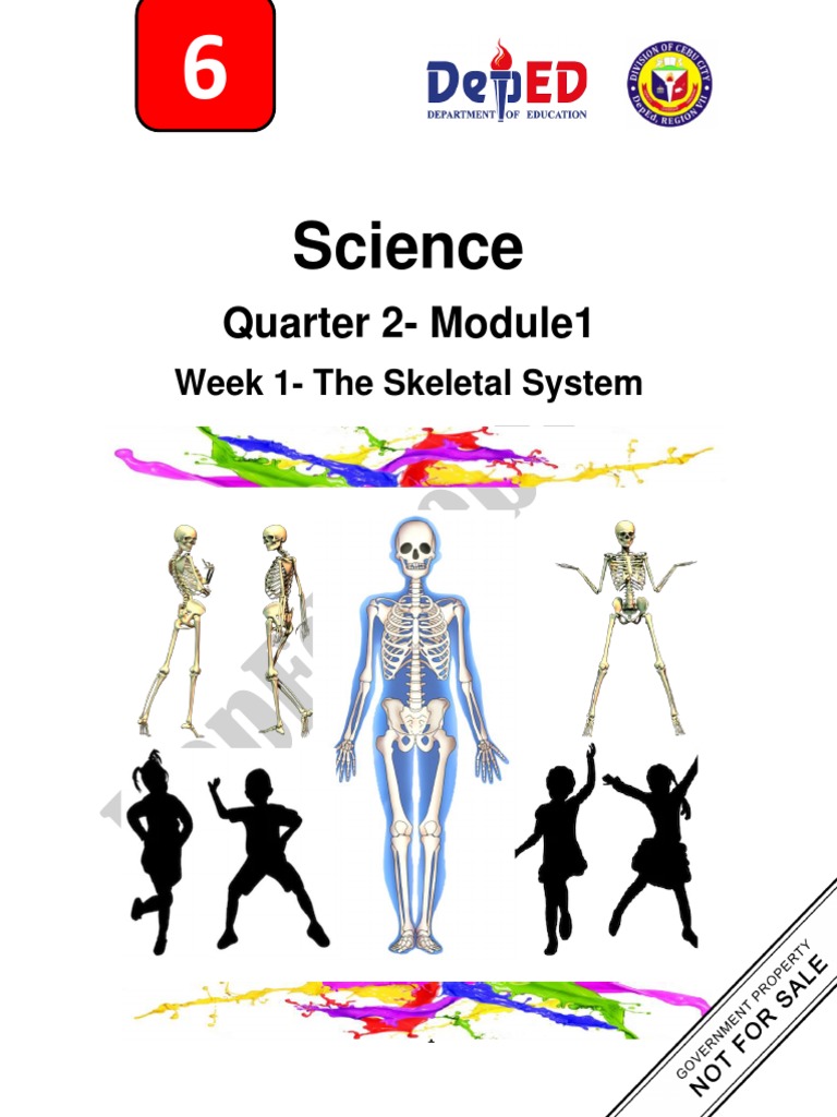 G6 SCIENCE Q2 W1 MODULE 1 Skeletal System | PDF | Skeleton | Bone