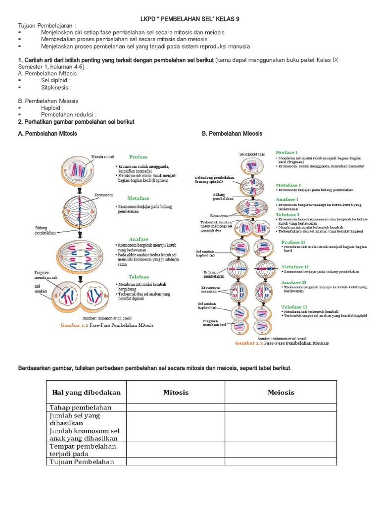 LKS Pembelahan Sel | PDF | Sains & Matematika
