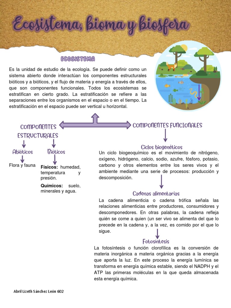 Ecosistemas, Biomas y Biosfera: Definiciones | PDF | Naturaleza ...