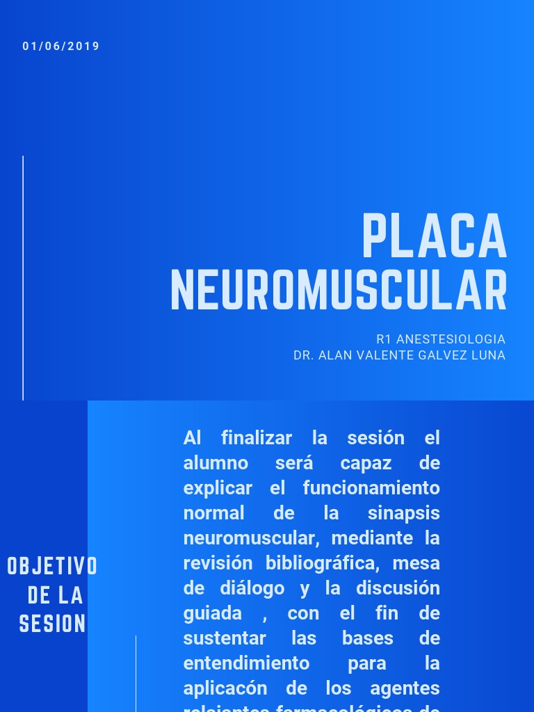 Placa Neuromuscular Alan | PDF | Unión neuromuscular | Músculo