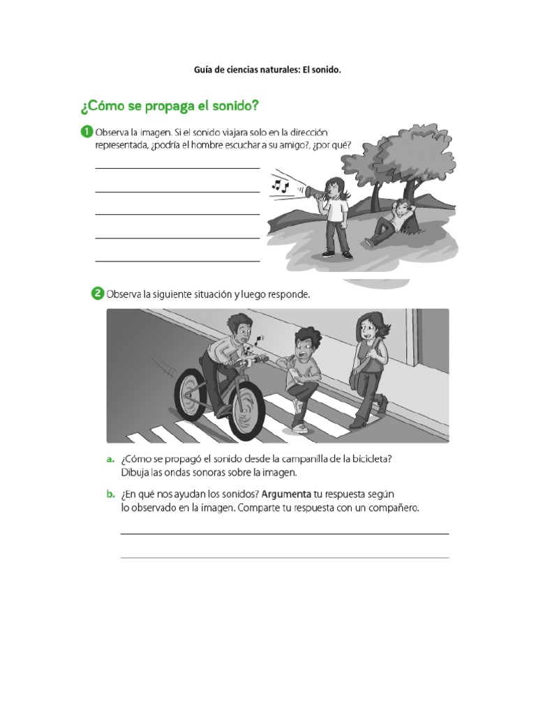 Guía de Ciencias Naturales El Sonido | PDF