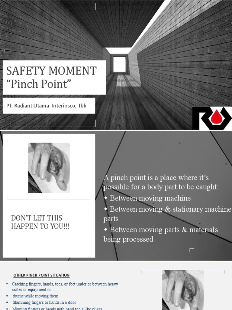 Safety Pinch Points | PDF