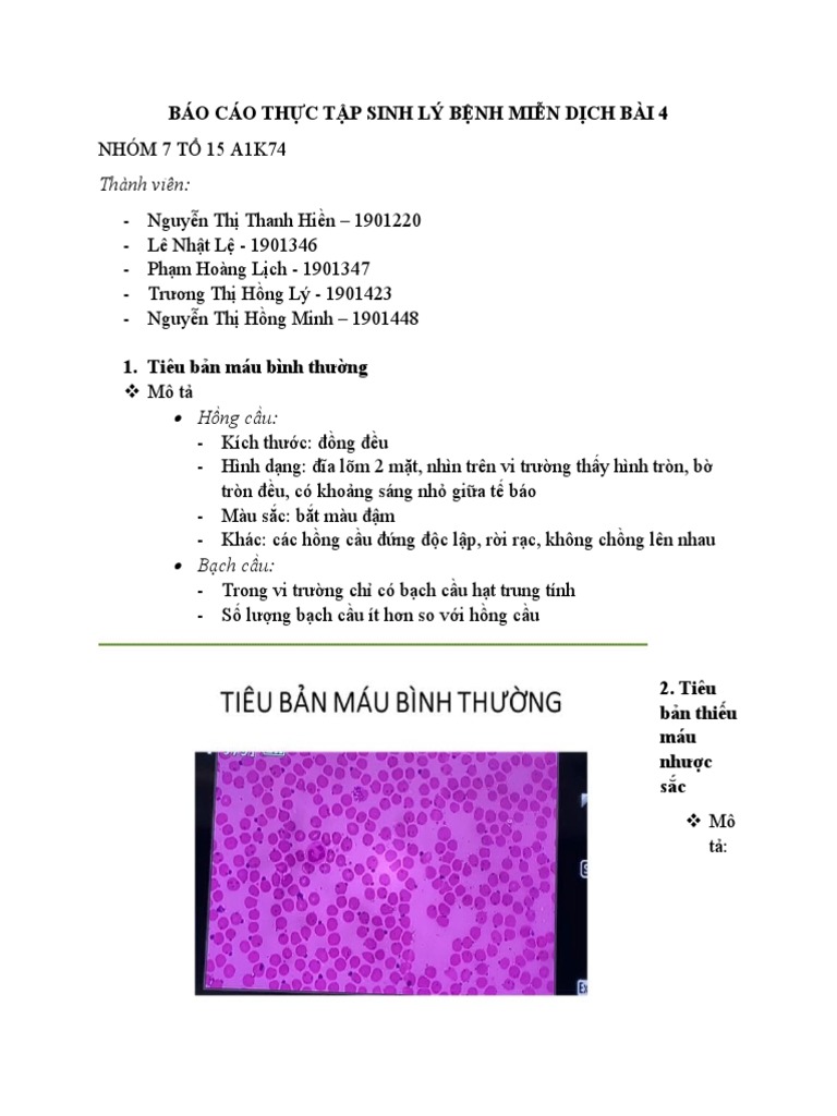 BÁO CÁO THỰC TẬP SINH LÝ BỆNH MIỄN DỊCH BÀI 4 | PDF
