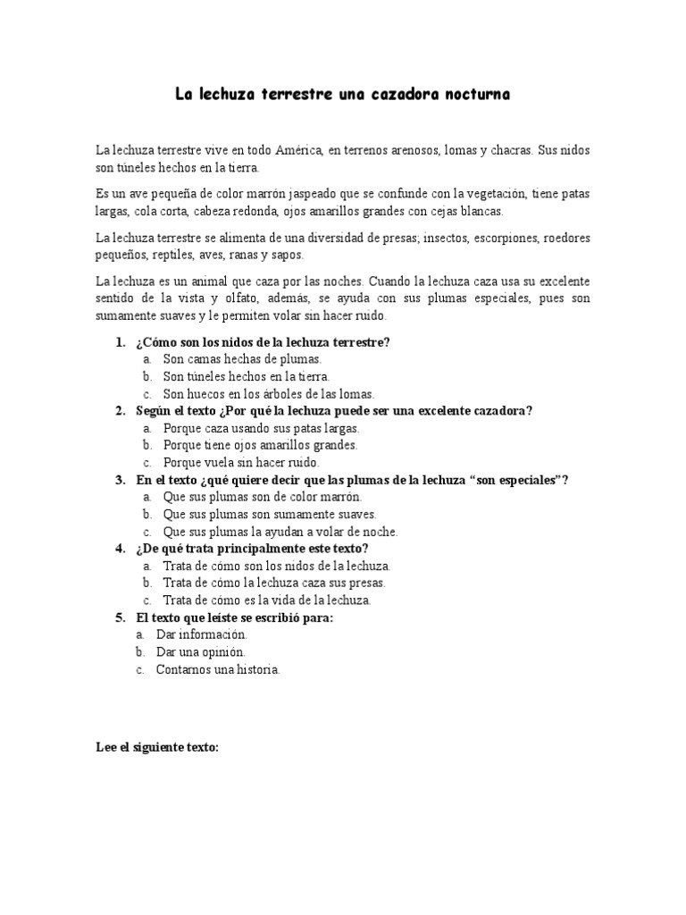 Comprensión lectora: La lechuza terrestre | PDF | Aves | Pluma