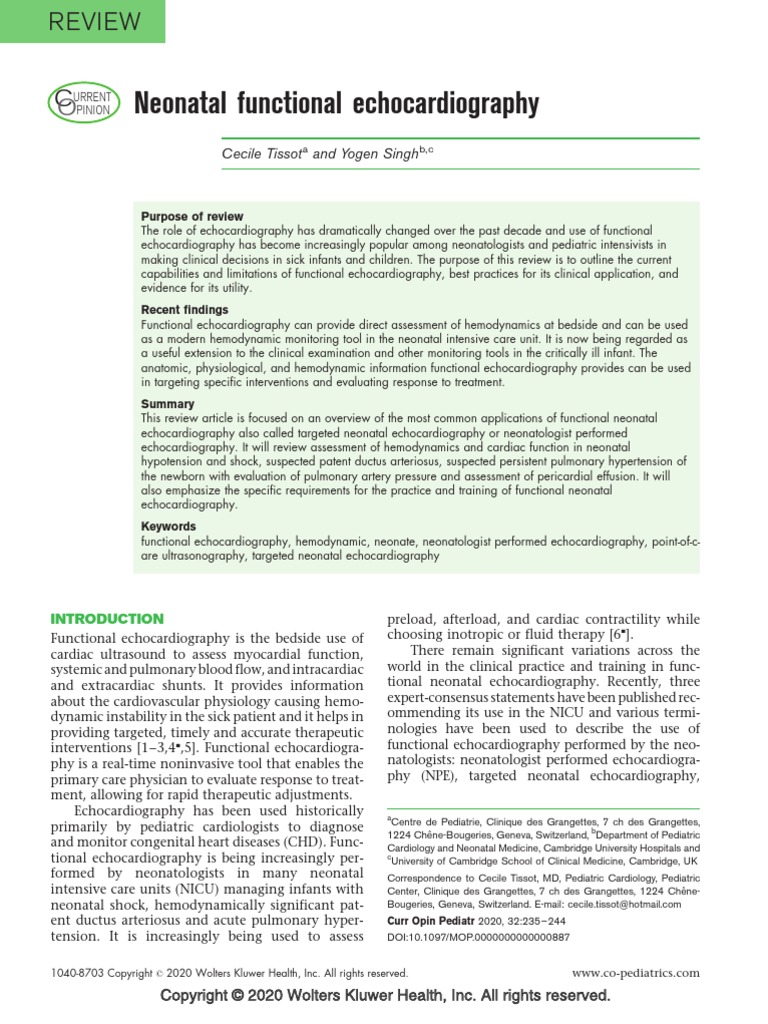 Ecocardiografia Neonatal | PDF | Ventricle (Heart) | Echocardiography