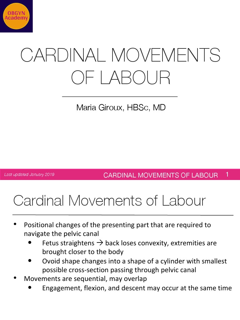 Cardinal Movements of Labour 1 | PDF | Pelvis | Anatomical Terms Of Motion