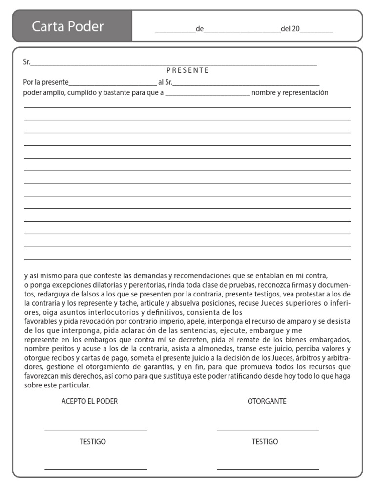 Carta Poder Pdf
