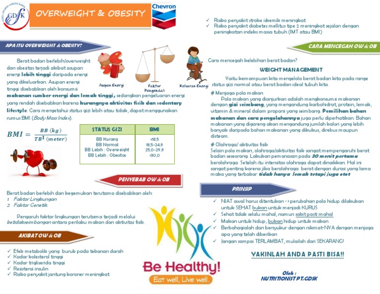 Flyer Overweight & Obesity | PDF