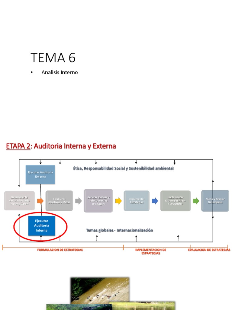 6-Analisis Interno | PDF | Marketing | Calidad (comercial)