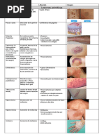 Macula o Mancha Definicion y Clasificacion | PDF