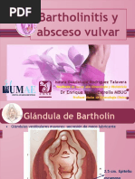 Protocolo de Bartolinitis y Abscesos | PDF | Cuidado de la salud | Especialidades Medicas