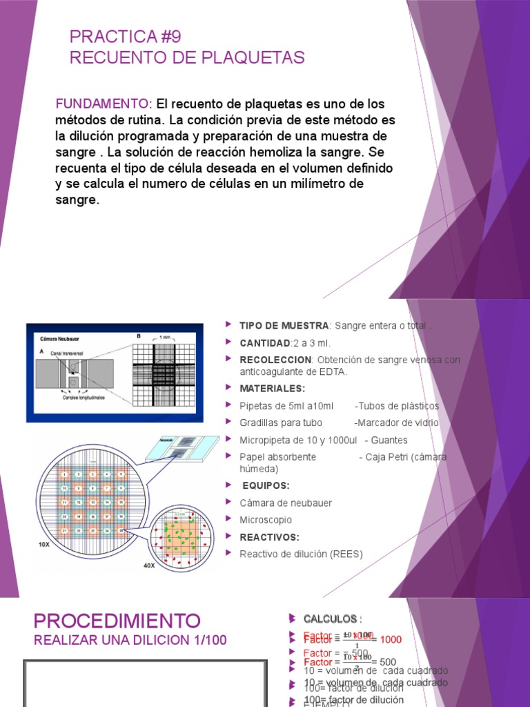 Practica Recuento de Plaquetas | PDF