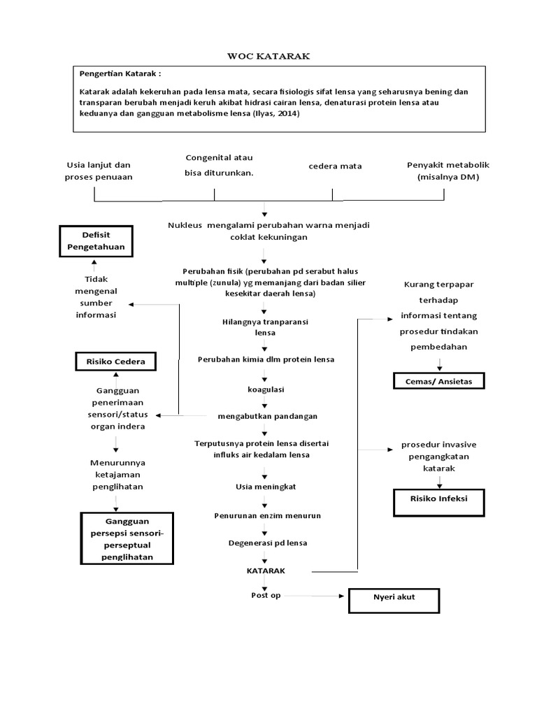 Pathway Katarak Pdf
