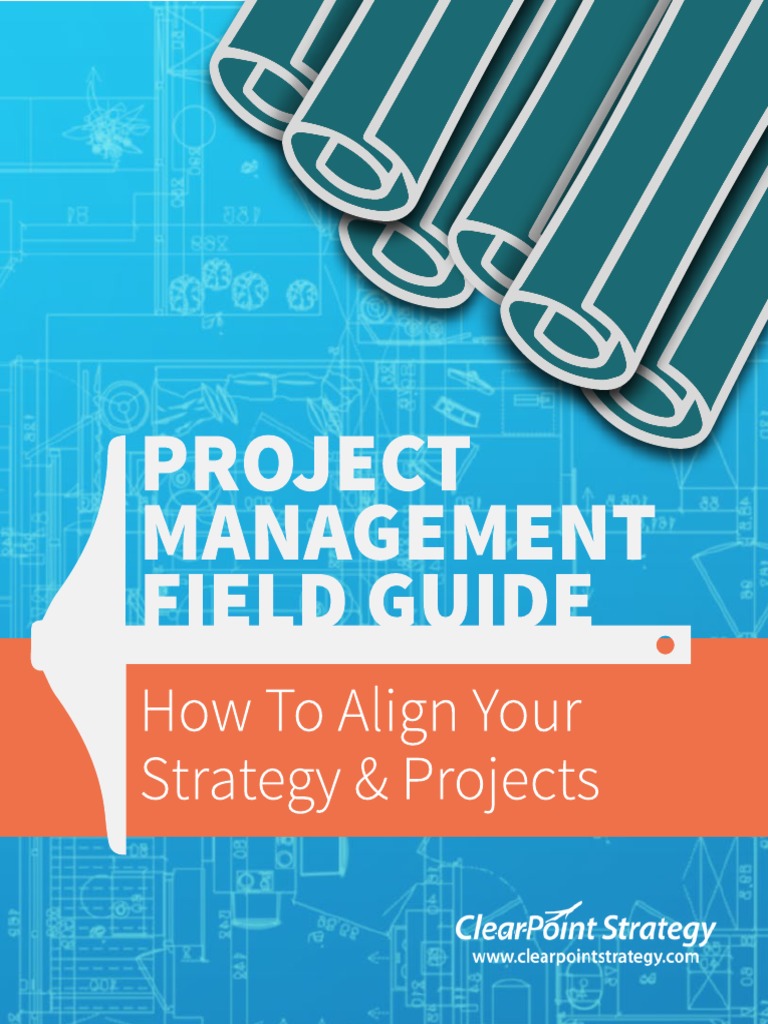 Project Management Toolkit | PDF | Goal | Project Management
