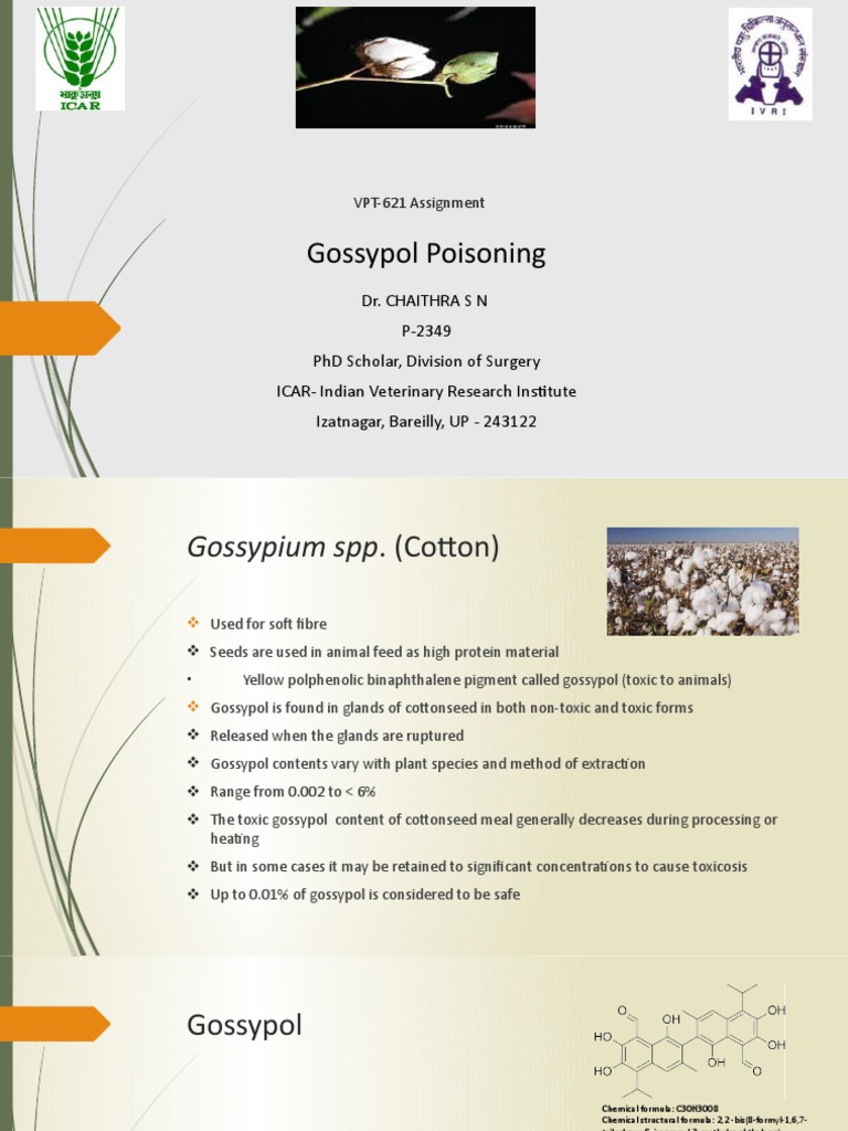 Gossypol Poisoning | PDF | Edema | Enzyme Inhibitor
