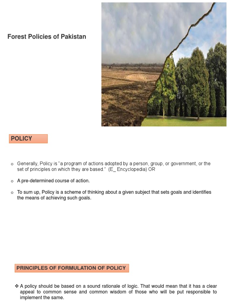 Forest Policy | PDF | Forestry | Policy