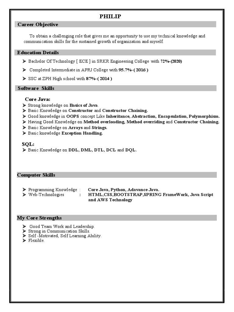 Philip's Resume Summary | PDF | Method (Computer Programming ...