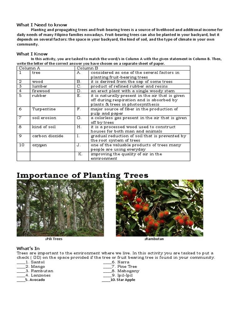 Importance of Planting Trees: What I Need To Know | PDF | Trees | Soil