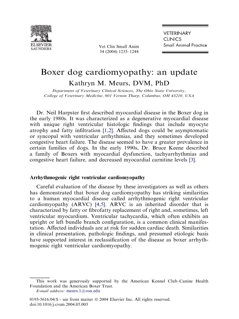Boxer cardiomyopathy update focuses on ARVC diagnosis | PDF | Heart ...