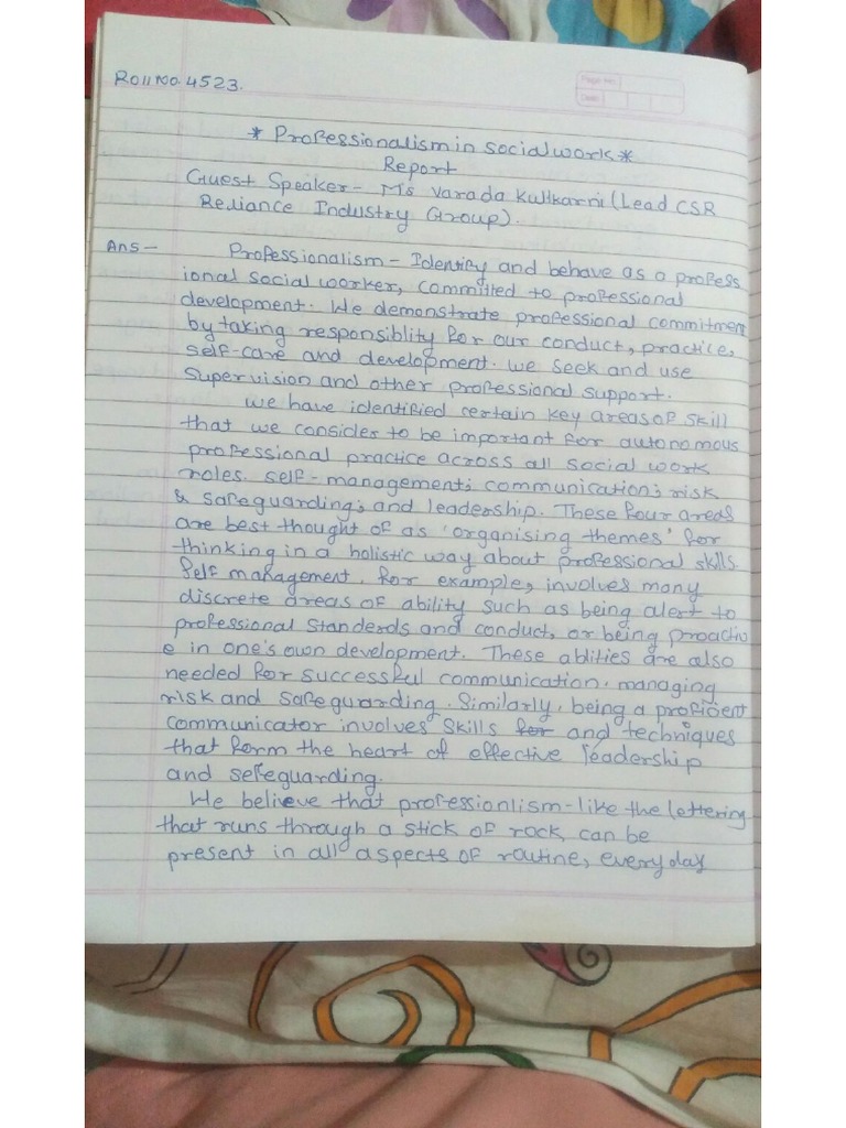 Professionalism in Social Work | PDF