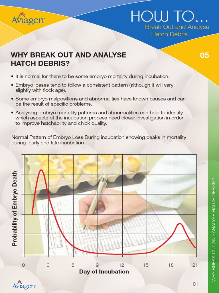 How To... : Why Break Out and Analyse Hatch Debris? | PDF | Egg ...
