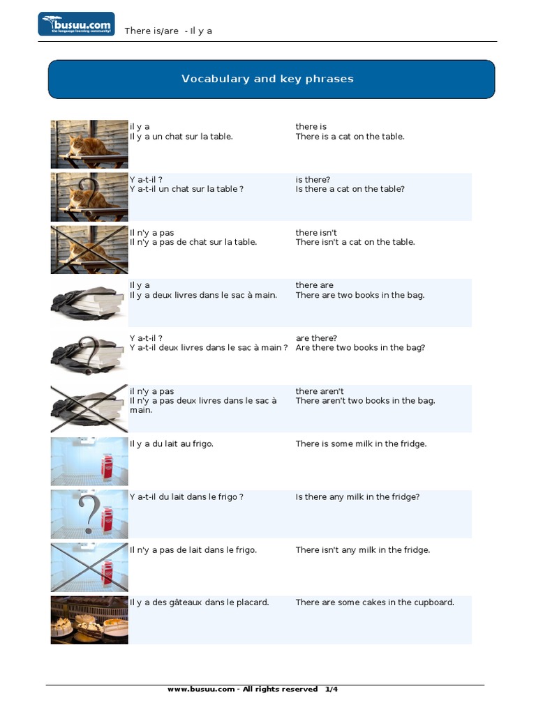 Il y A - Busuu Beginner French A2 | PDF