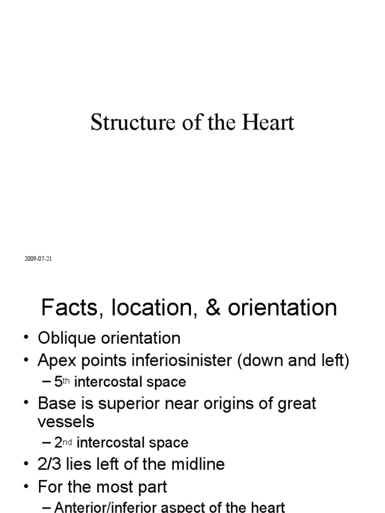 Structure of The Heart | PDF | Heart Valve | Coronary Circulation