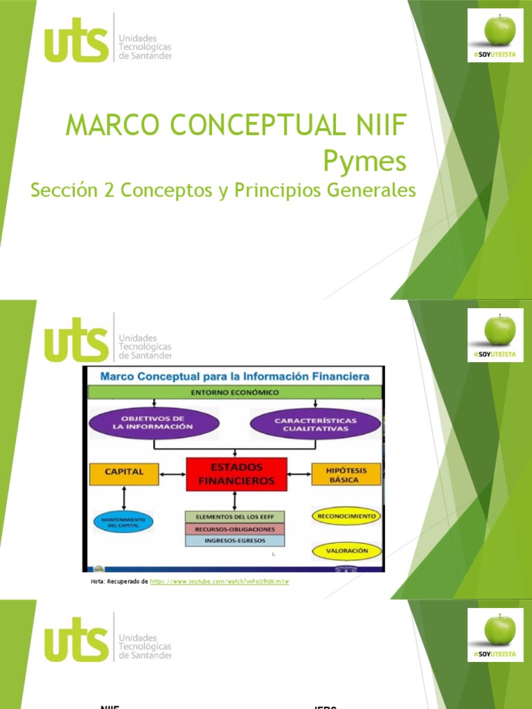 Marco Conceptual NIIF | PDF | normas internacionales de INFORMACION FINANCIERA | Estado financiero