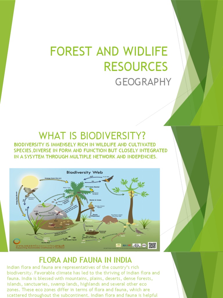 Forest and Widlife Resources | PDF | Forests | Wildlife