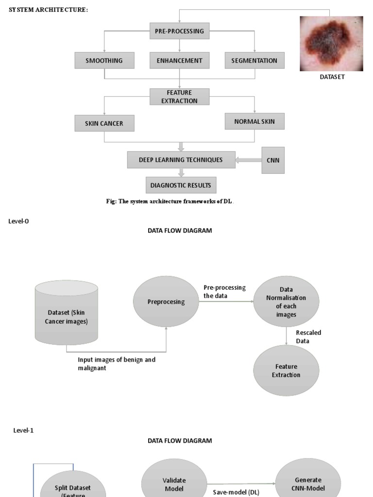Pre-Processing: System Architecture | PDF | Cancer | Computational Neuroscience