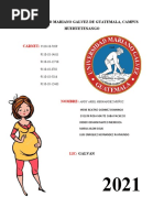 Carnet Del Embarazo | PDF