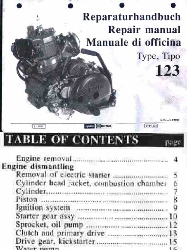 Manual Rotax 123 | PDF