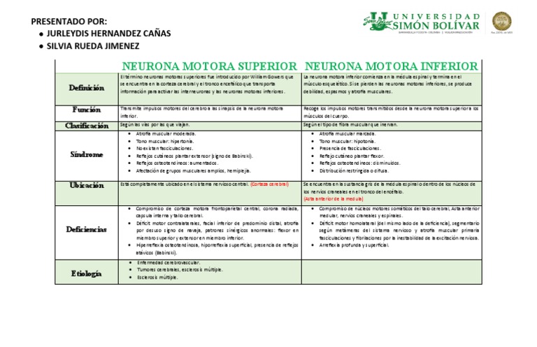 Cuadro Commparativo (NMS y Nmi) | PDF | Cerebro | Neurona motora