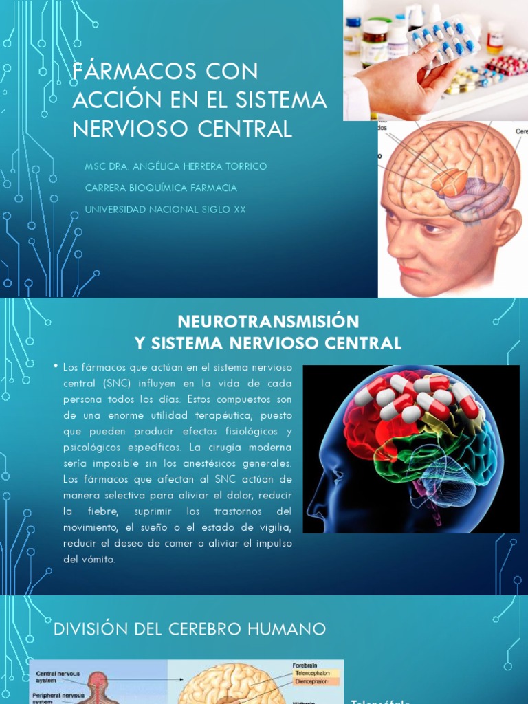 #2 Fármacos Del Sistema Nervioso Central 2 | PDF | Sinapsis | Sistema nervioso