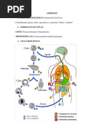 Tabela de Bacterioses e Causadores | PDF | Salmonella | Bactérias